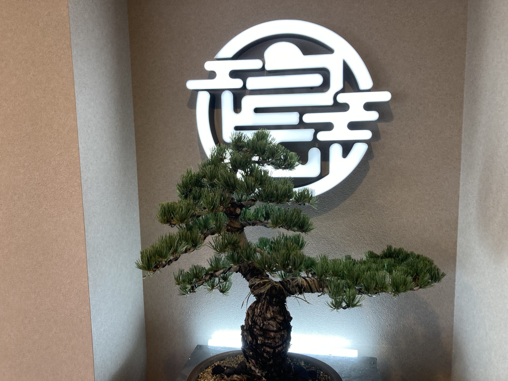 【NEWOPEN】〜浮世離れのSHIMA DOROBO〜定食以上、料亭未満2000円代で浮世体験｜淡路島観光｜淡路島ランチ | 淡路島おすすめ観光サイト KAMIAWA（カミアワ）